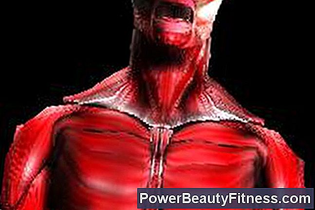 Qui Sont Des Enzymes Musculaires Cpk 💪 Tout À Propos Des Modes De Vie ...