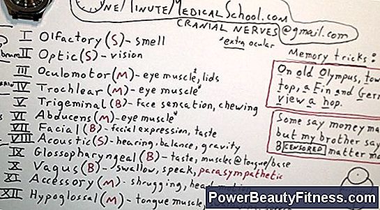 Tricks To Remember The Names Of Bones In Anatomy All About Fitness 